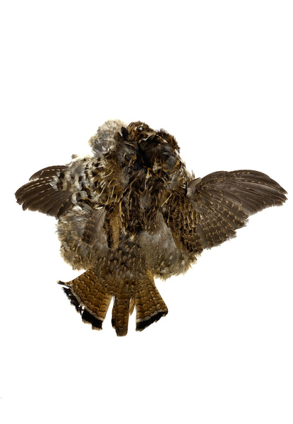 RUFFED GROUSE SKIN #1 – Anglers Den
